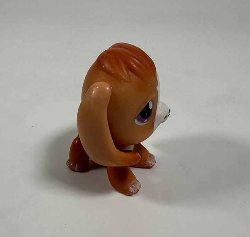 Littlest Pet Shop Orange/White BEAGLE Purple Eyes - 2004 LPS #301 | eBay