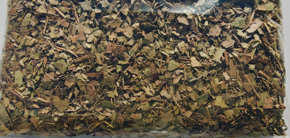 5oz Axocopaque hierba/te , Wintergreen herbs, Gaultheria procumbens ...