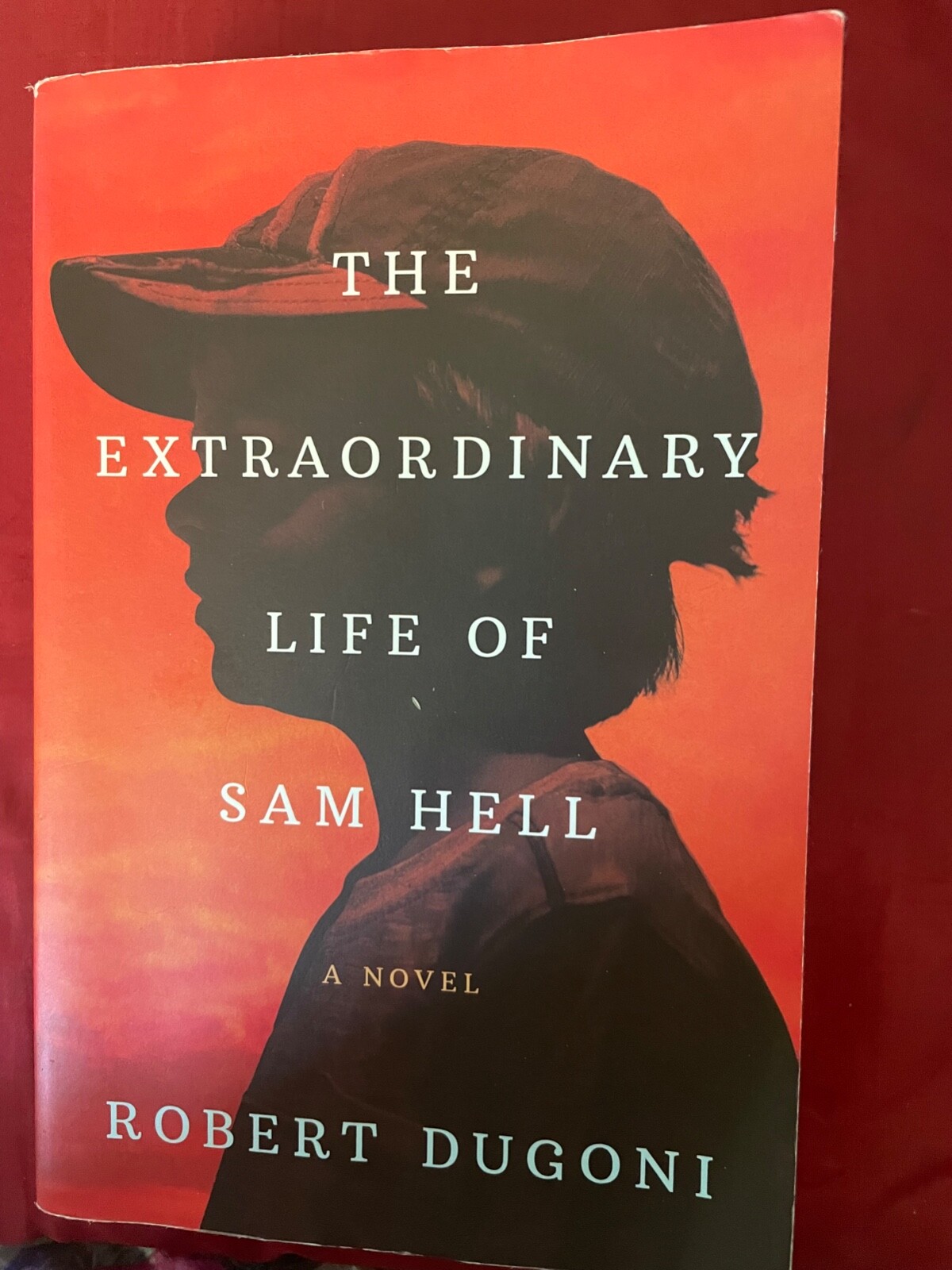Extraordinary Life Of Sam Hell, The (Paperback) 9781503948976 | eBay