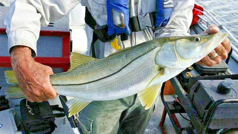 6 HI LO FISHING RIGS 1/0 HOOK 30lb POMPANO WHITING DRUM FLOUNDER Snook ...