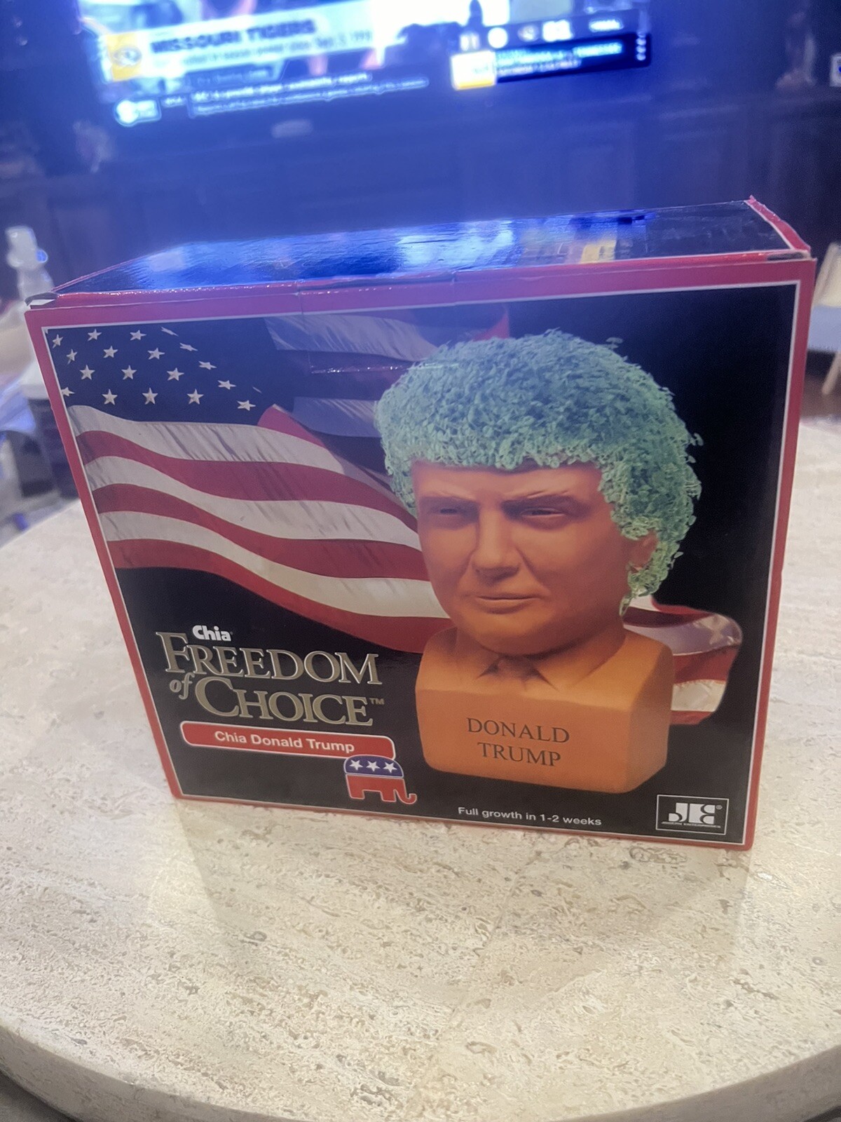 Chia CP116-01 Donald Trump Freedom of Choice Pottery Planter for sale ...