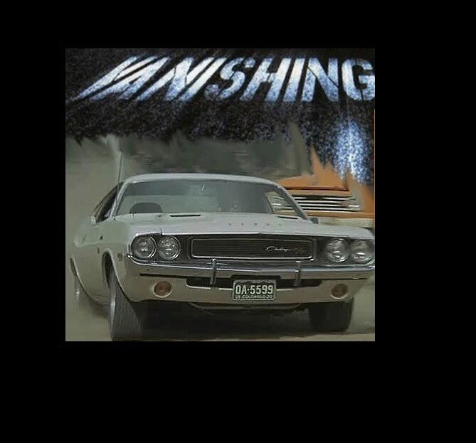 Movie & Series 1:24 1:25 scale water slide license plate decals white ...