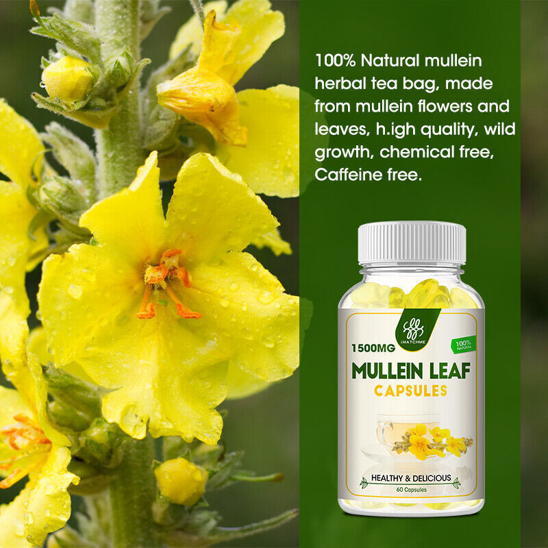 Mullein Leaf Tea Mullein Leaf Capsules Lung Cleansing Breathing Cough ...