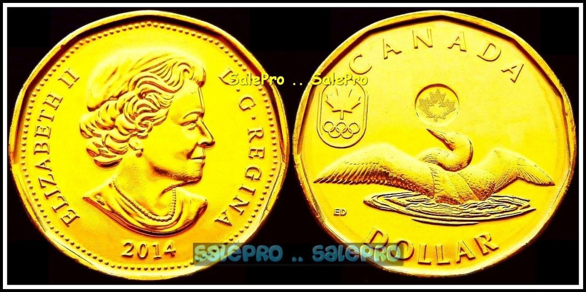 Canadian 1 Dollar 2014 2014 Canada $1 Lucky Loonie Dollar Coin Queen