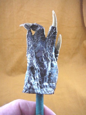 (g627-3) LARGE Gator FOOT Back Scratcher PAW ALLIGATOR backscratcher ...