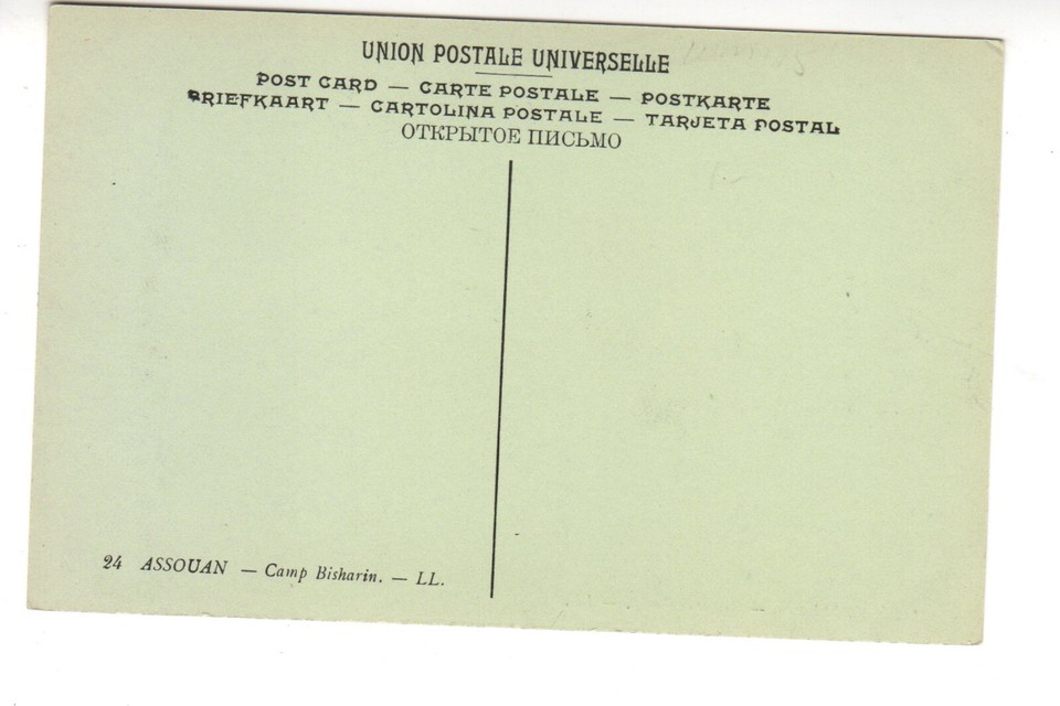 Postcard: Assuan (Aswan), Egypt - Bisharin Camp; Camels in foreground ...