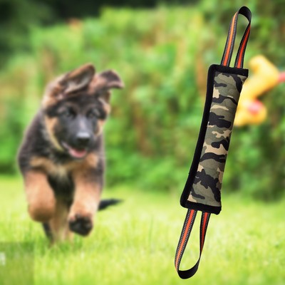 Dog Training Stick with 2 Rope Handles Professional Pet Training Bite ...
