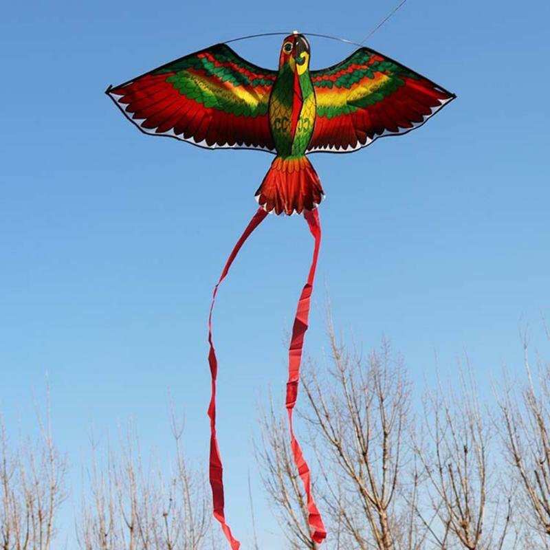 Bird Kites