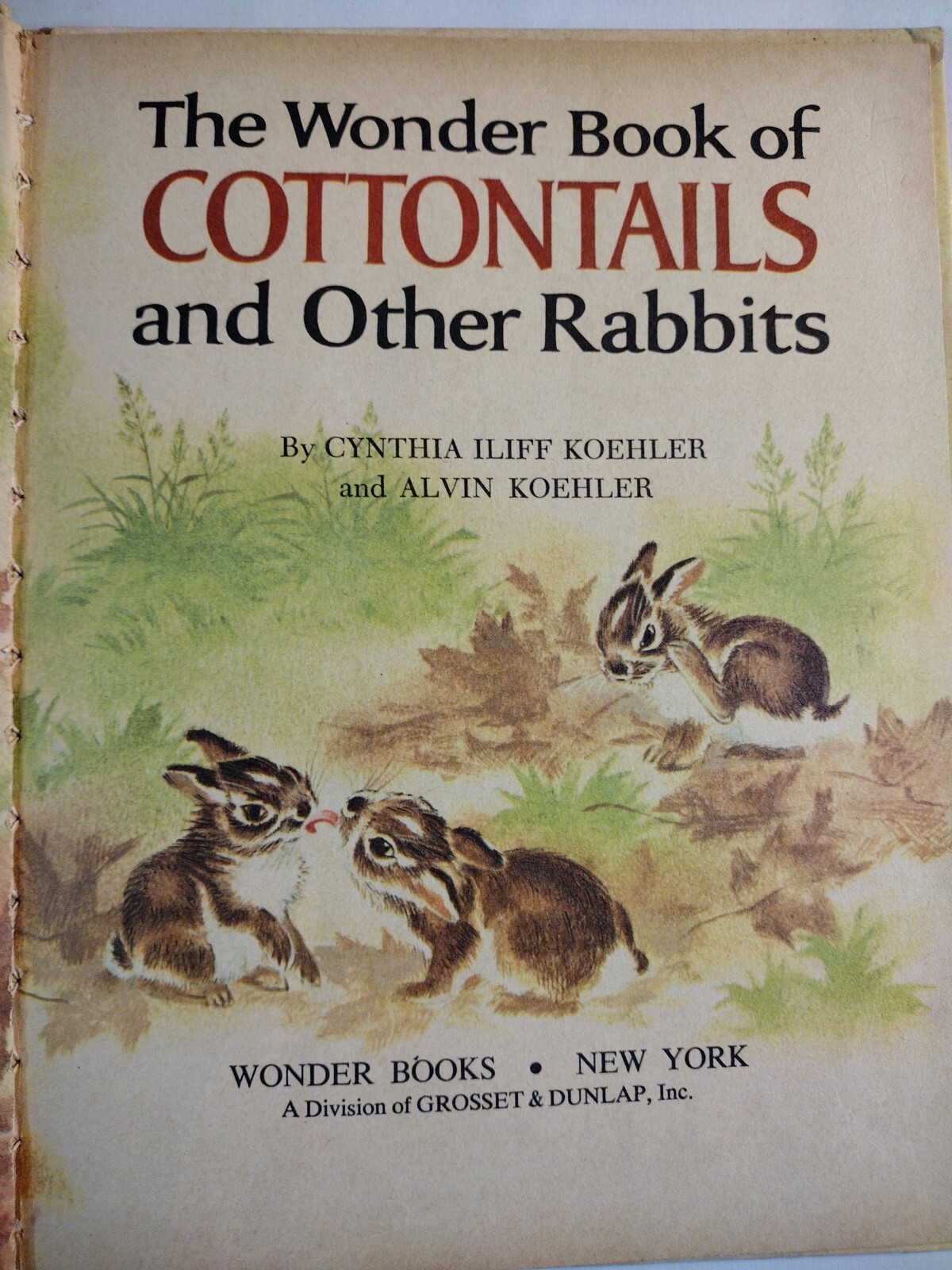 The Wonder Book of Cottontails and Other Rabbit Stories by Cynthia ...