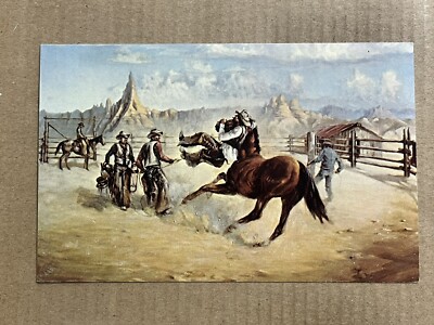Postcard Cowboy Horse Muggers Bronco Buster Corral Art Painting Wall ...