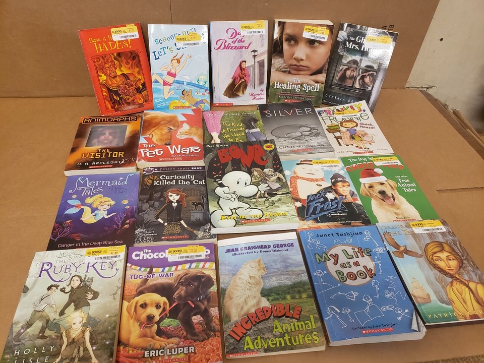 Lot of 50 Chapter INSTANT LIBRARY Children Young Adult RANDOM UNSORTED ...