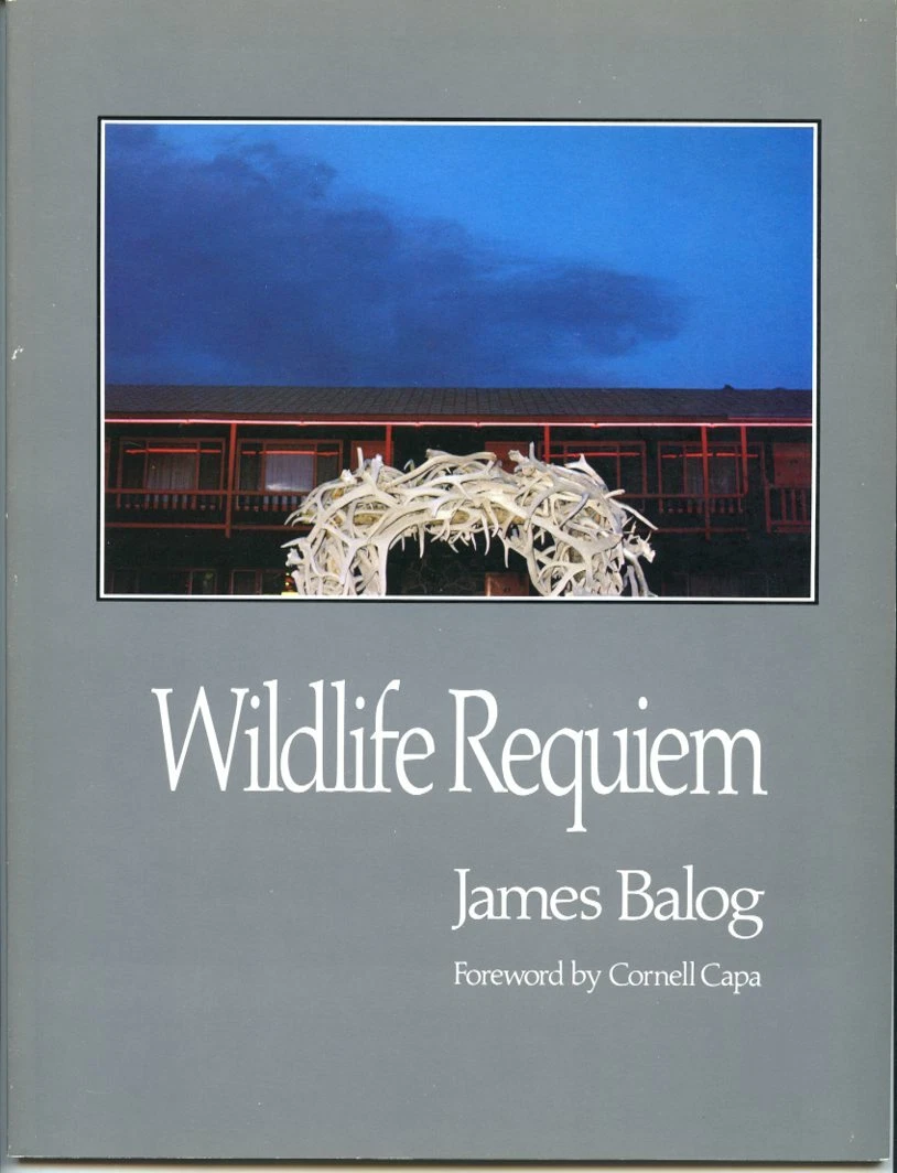James Balog Animal Photography