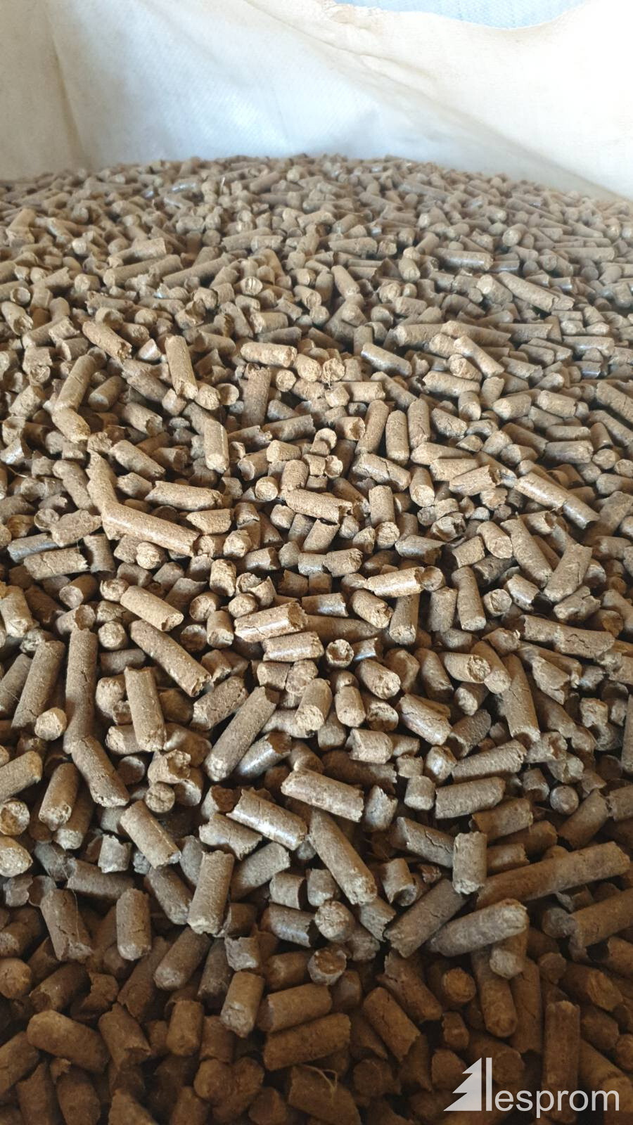 2kg Oak Pellets for MASTERS MIX Substrate/wood loving Gourmet mushroom ...