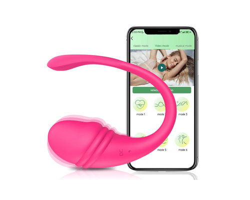 Vibromasseur SexToy Jouet Sexuelle Oeufs Vibrant Vagin Clitoris Gode Vaginal APP | eBay