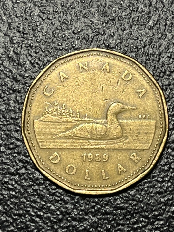 1989 Canada Dollar Coin Elizabeth ll (C-395) | eBay