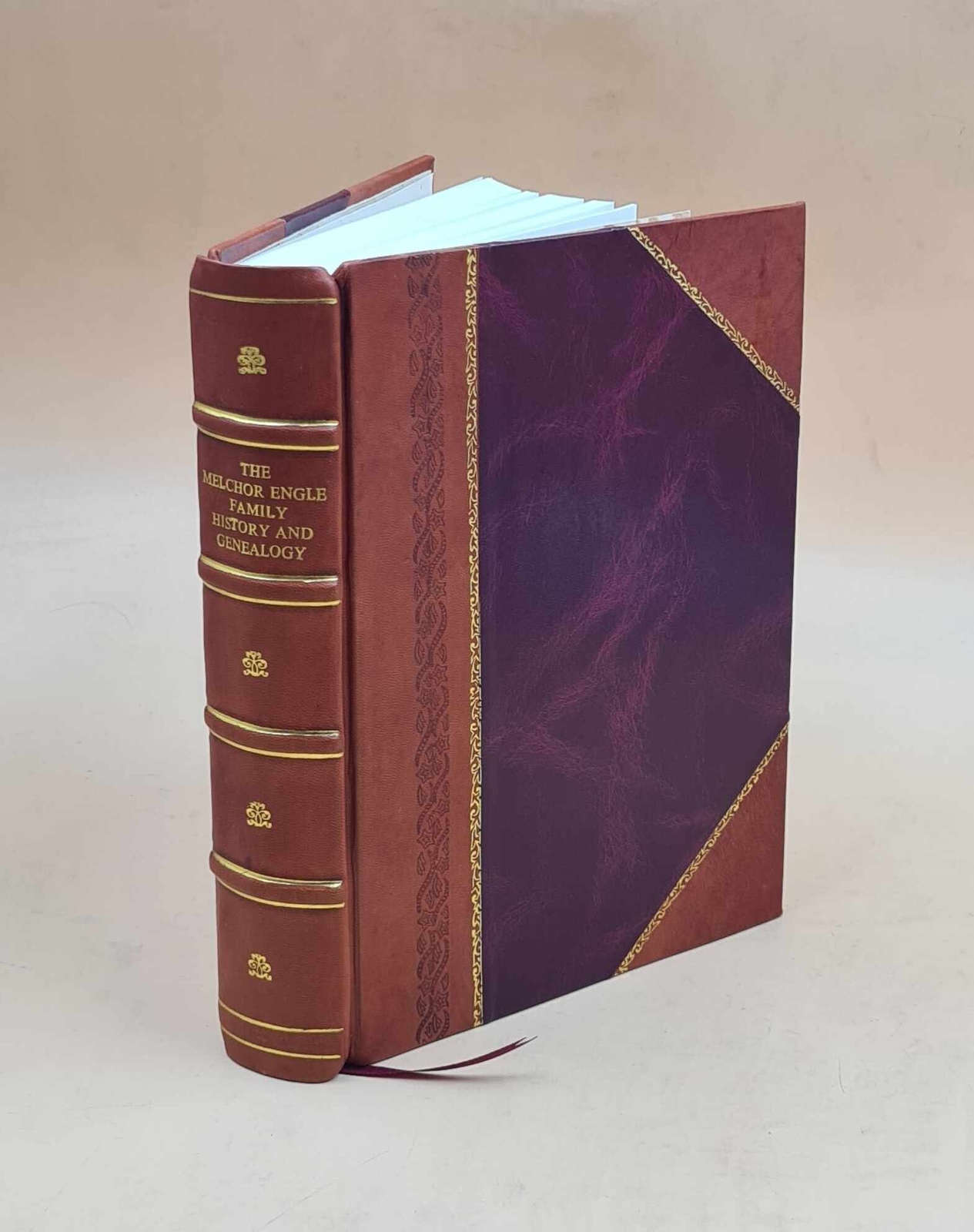 The Melchor Engle family, history and genealogy 1730-1940 [LEATHER ...