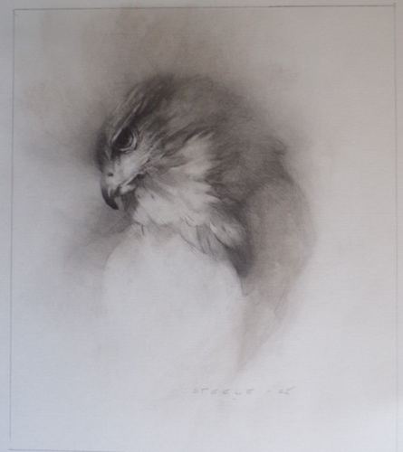 Fine Art Original Signed Bird Art Pencil Drawing American Artist Darryl ...