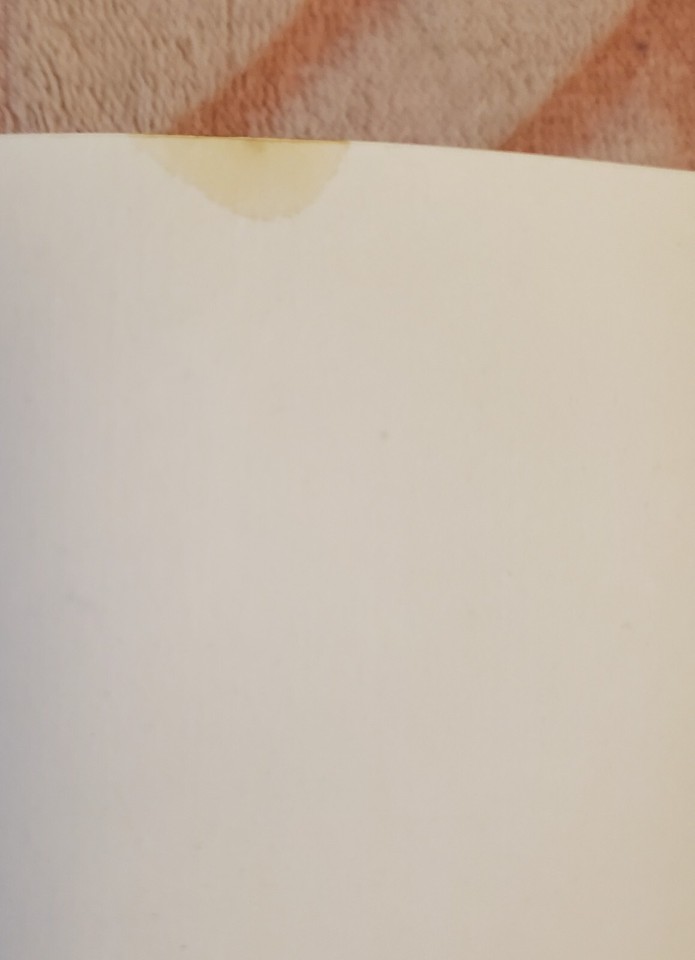 Richard Scarry Che Cosa Faccio Oggi ITALIAN UNMARKED SC book Mondadori ...