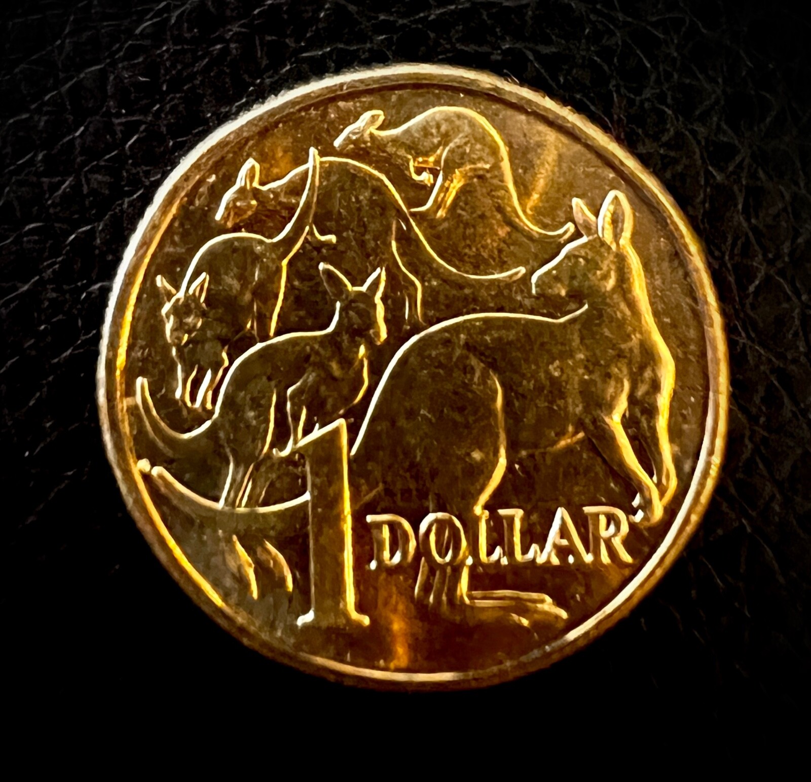 1984 1 DOLLAR COIN - $1 - MOB OF ROOS - HARD TO FIND IN NEW COND. - | eBay