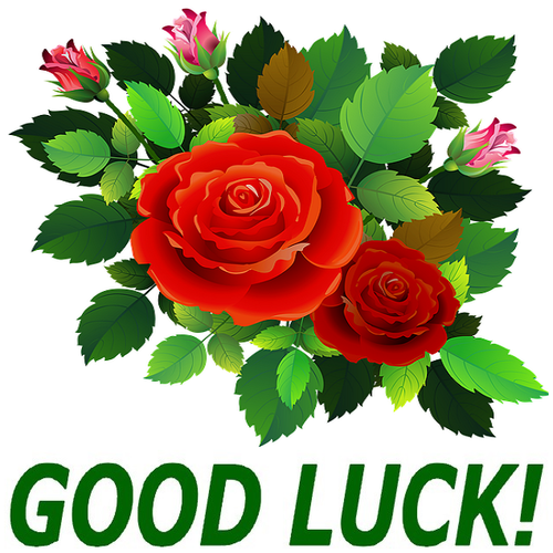 30 Custom Red Roses Good Luck Personalized Address Labels | eBay