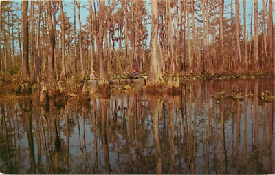 Okefonokee Swamp Park US 1 South Waycross Georgia GA pm 1950 Postcard ...