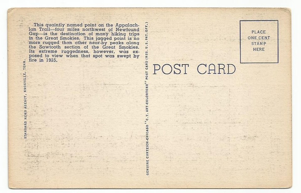TN Postcard Charlies Bunion Smoky Mountains Tennessee | eBay