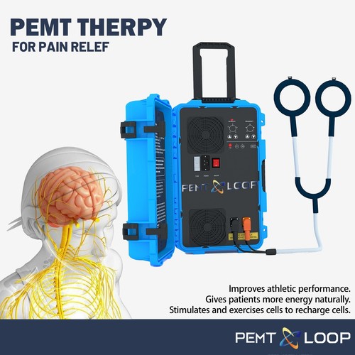 PMST LOOP Pain Relief PEMF Machine Electromagnetic Therapy ...