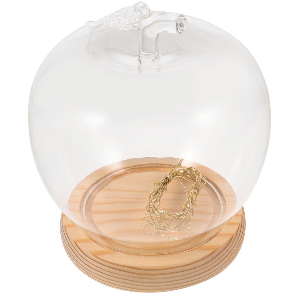 Glass Cover with Lighted Base Flower Displaying Dome Cloche Delicate ...