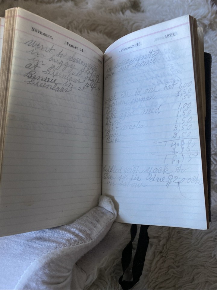 Antique Handwritten Diary Journal, Excelsior Northern California 1879 ...
