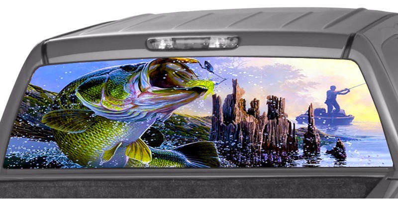 Fish Window Graphics