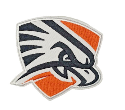 UTPB Falcons Team Logo Embroidered 3in Iron / Sew-On Patch | eBay