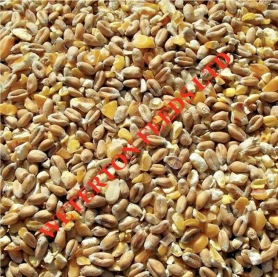 Mixed Poultry Corn best feed-food for Hens and Ducks 20kg GM FREE. FREE ...