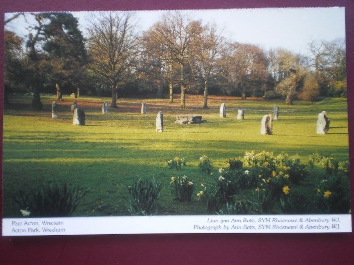 POSTCARD D4-8 DENBIGHSHIRE ACTON PARK WREXHAM | eBay UK