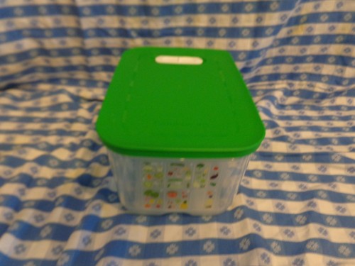 Tupperware FridgeSmart Medium Deep Container Fruits Produce Green New 1 ...