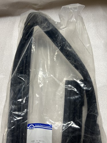 2019-2024 RAM 1500 LEFT DRIVER REAR DOOR GLASS WINDOW RUN WEATHERSTRIP ...