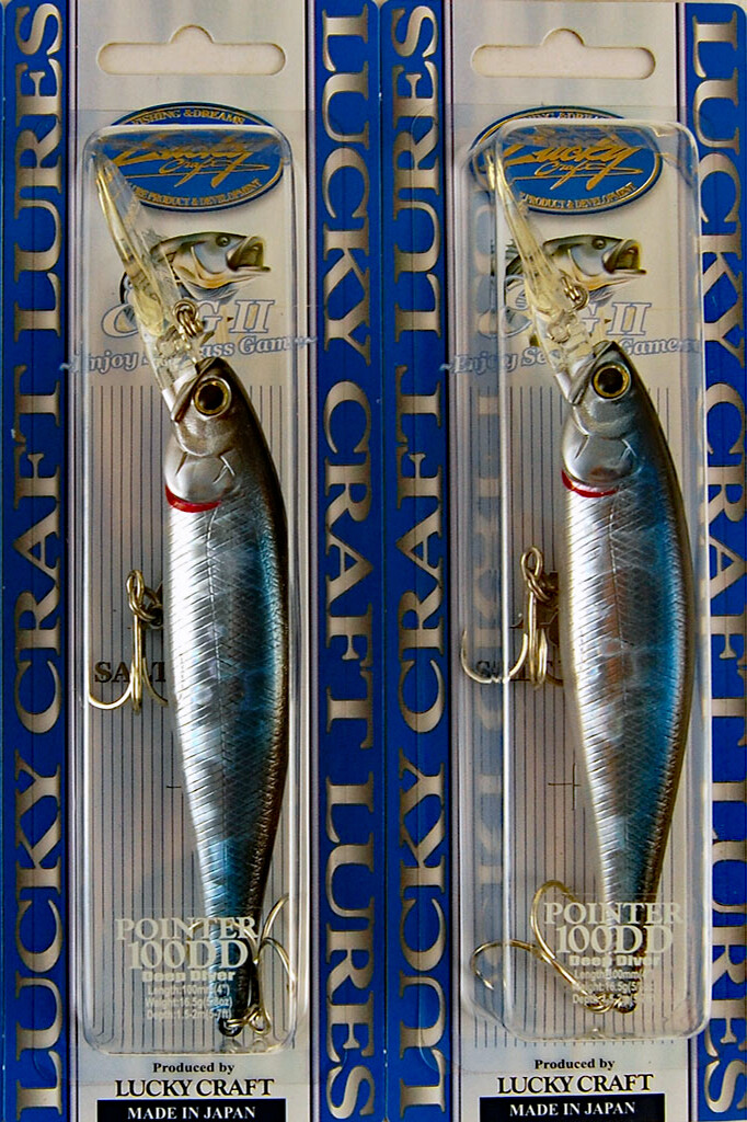 (LOT OF 2) LUCKY CRAFT ESG POINTER 100DD 5/8OZ 737 SALTY AURORA BLACK I8138 | eBay