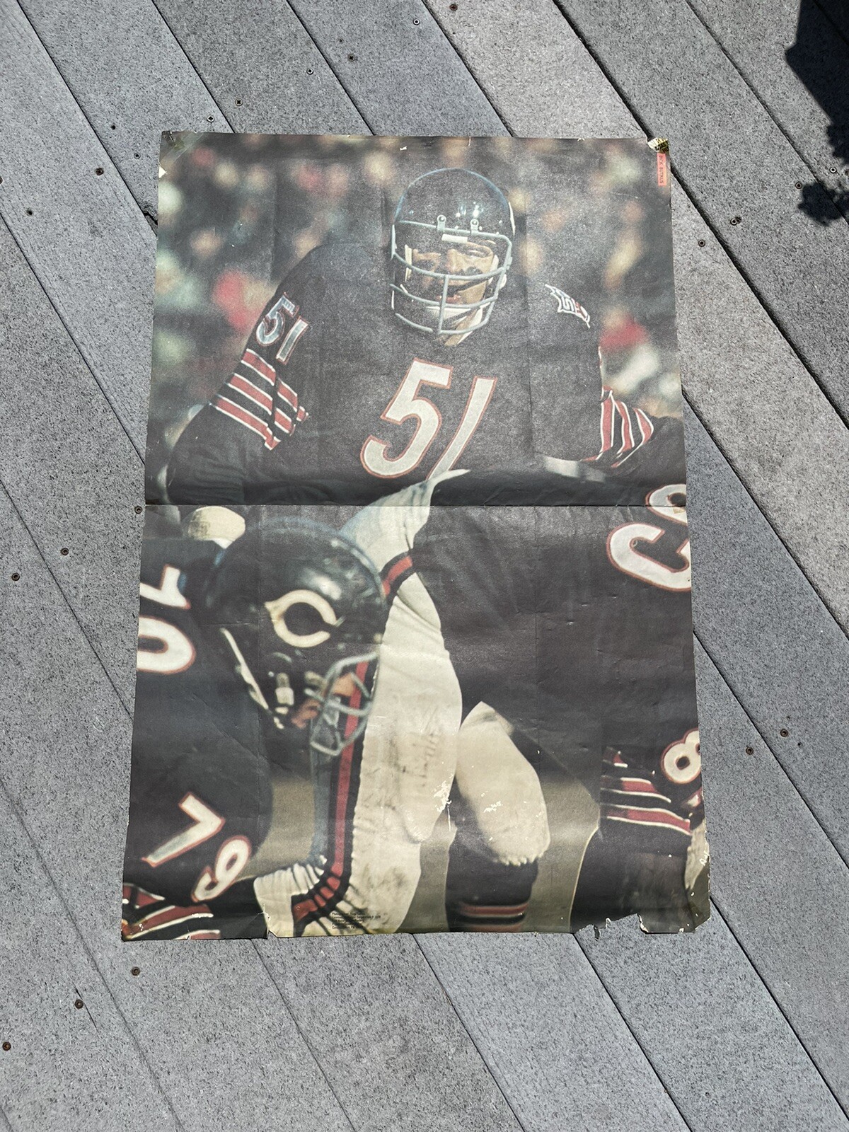Vintage 1970 Dick Butkus Football Poster Chicago Bears By Tony Tomsie ...