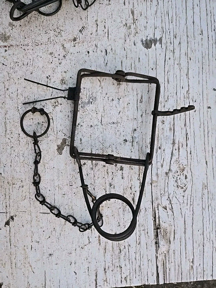 Lot of (22) used 110 conibear body grip bodygrip traps Mink Muskrat ...