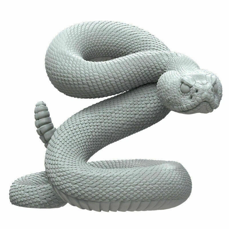 Rattlesnake Model