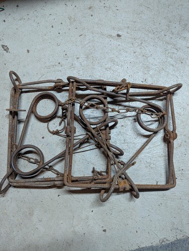 victor 330 conibear traps, lot of 2 used traps | eBay