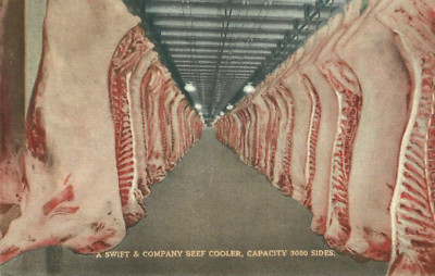 Advertising 'Swift and Company Beef Cooler. IL. Capacity 3000 Sides ...