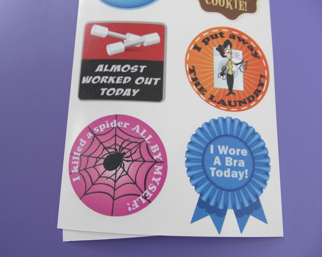 Adult Reward Stickers Series 1 You Adulted Today Congratulations adult ...