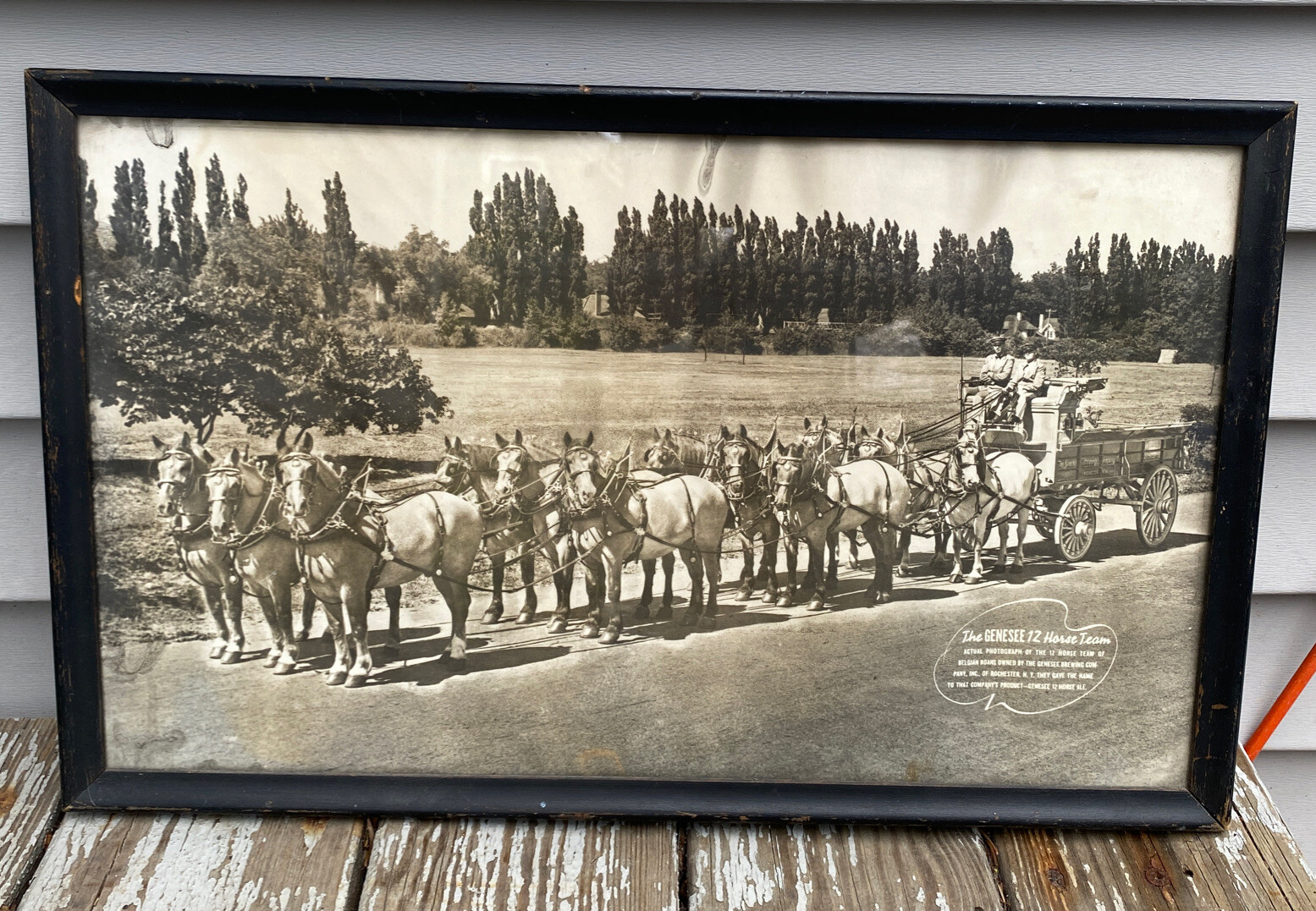VINTAGE GENESEE 12 HORSE ALE TEAM FRAMED BEER SIGN GENESEE BREWING ...