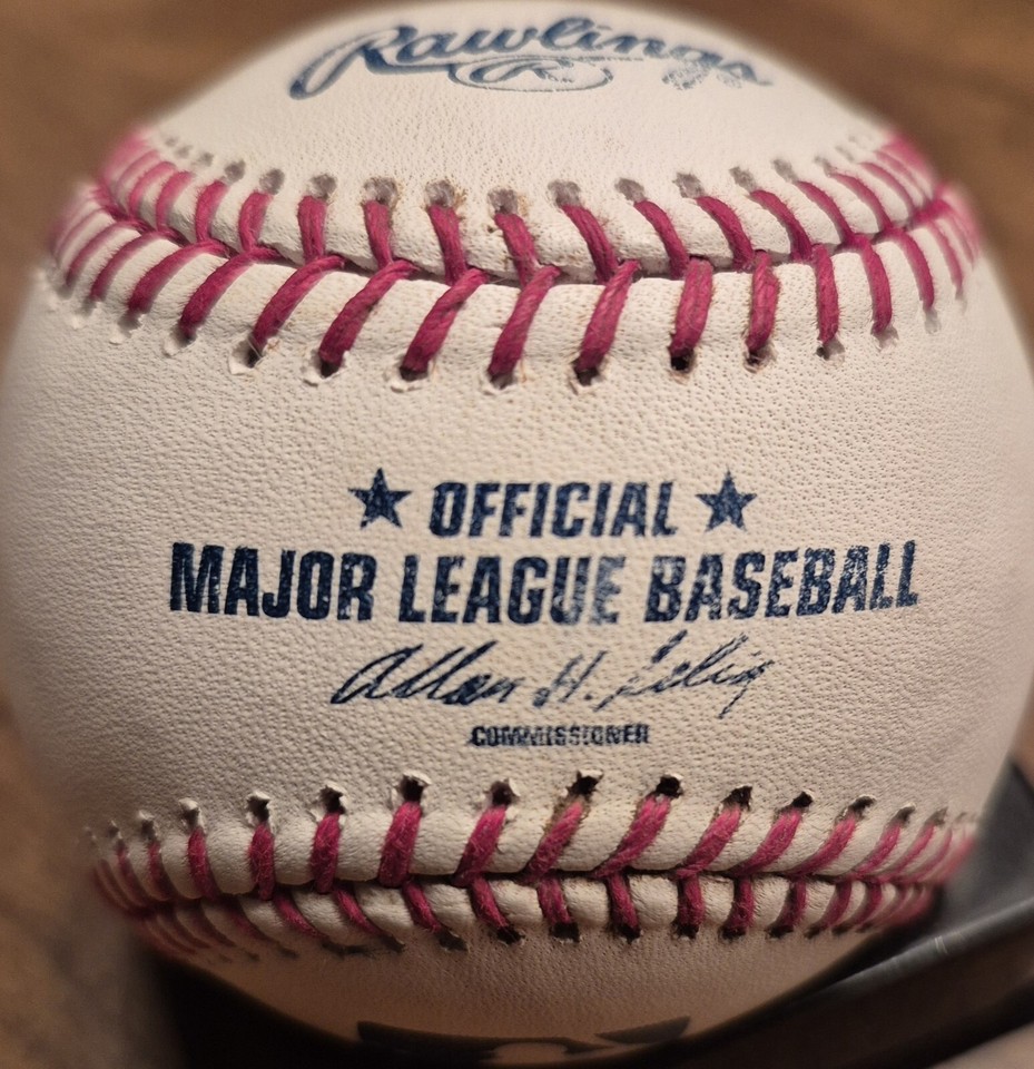 Yan Gomes Signed Mlb Baseball Autograph | eBay