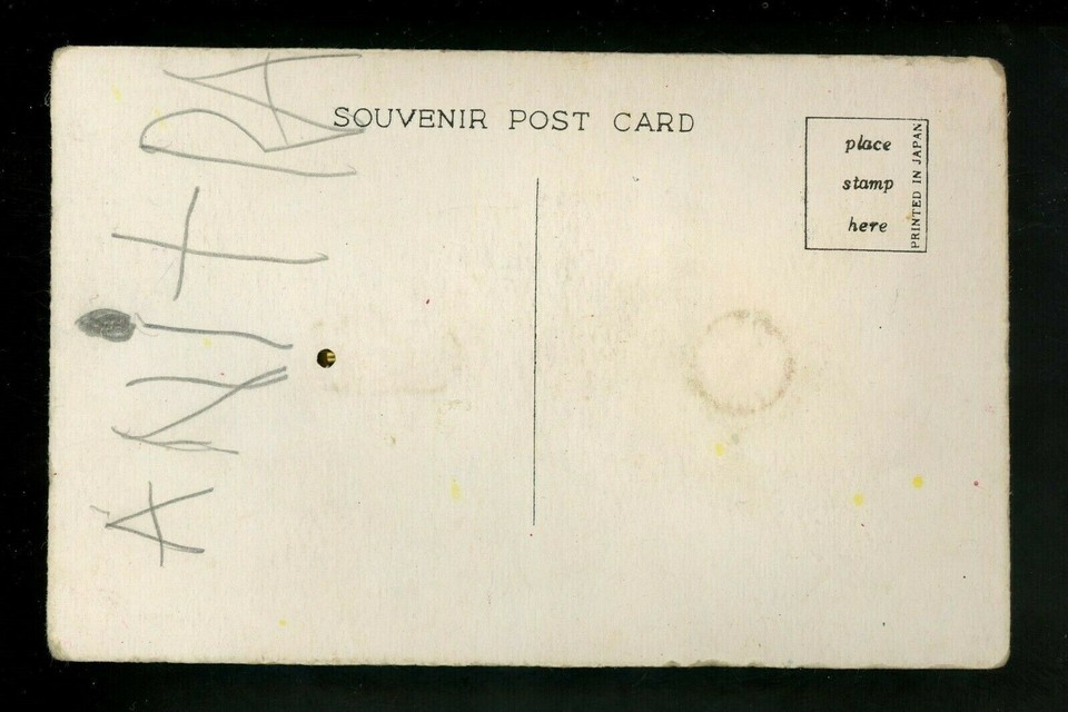 Novelty Squeeker postcard Elephant animal card greetings | eBay