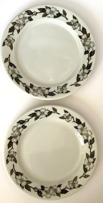Sets of 2 Shenango Rimrol China Dogwood Dinner Plates Vintage ...