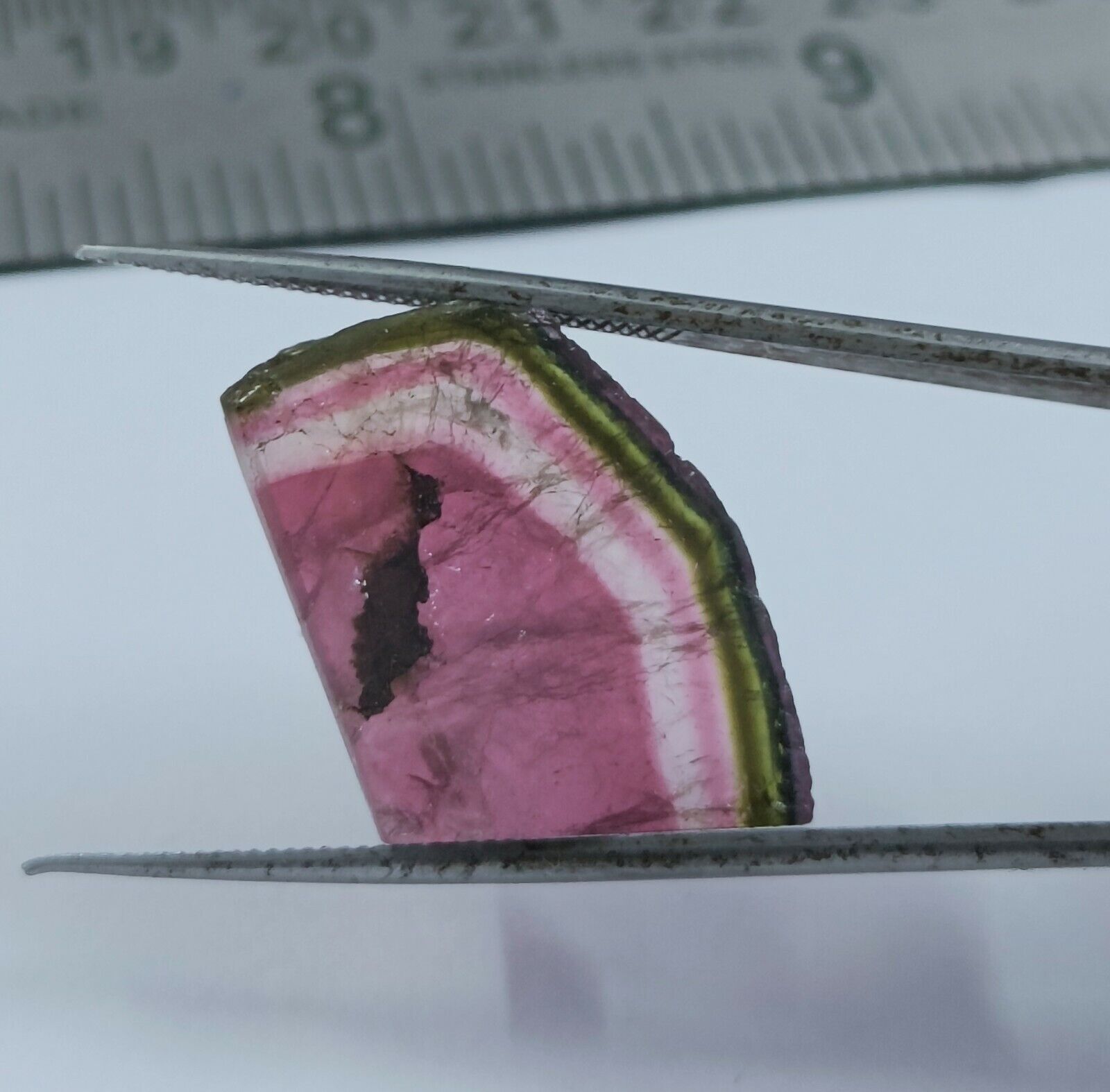 Tourmaline Bi-Color Polished Watermelon Slice 1 Pc. 16.10 Ct Natural ...