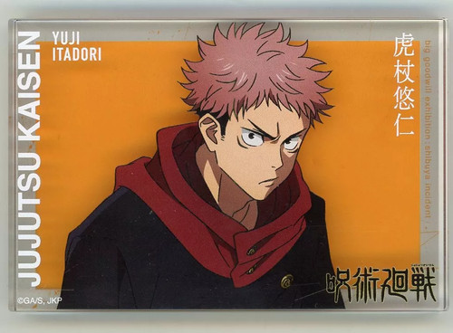 Jujutsu Kaisen Acrylblock groß Yuji Itadori Acrylplatte Kunst | eBay.de