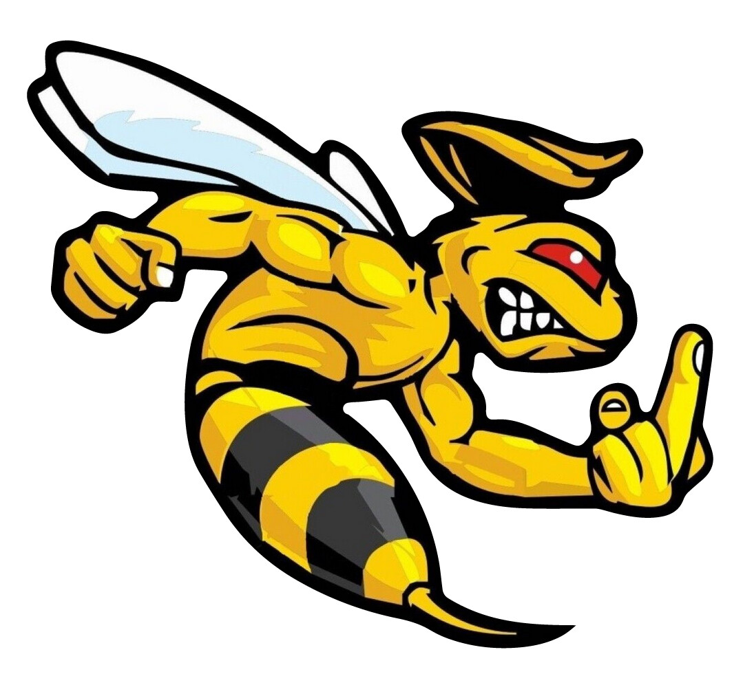 ANGRY BEE SUPER BEE RIGHT WITH MIDDLE FINGER REVERS BUMPER STICKER ...