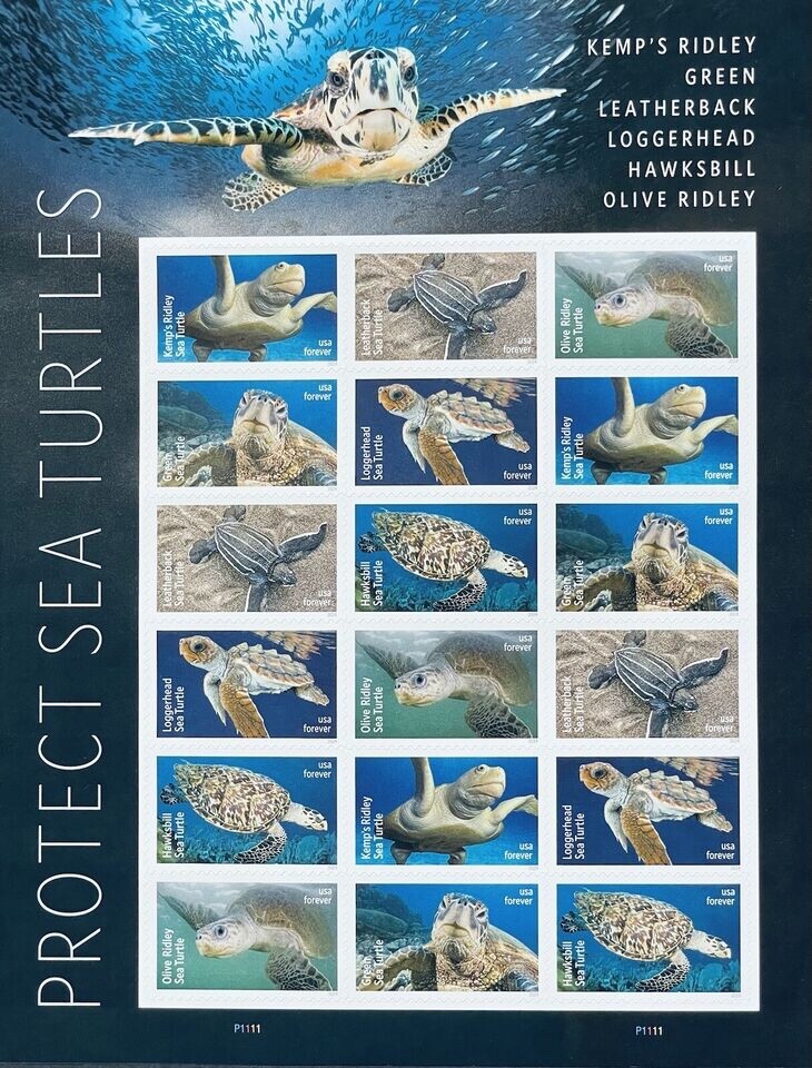 PROTECT SEA TURTLES Pane Sheet of 18 Forever Stamps MNH #5865-5870 | eBay